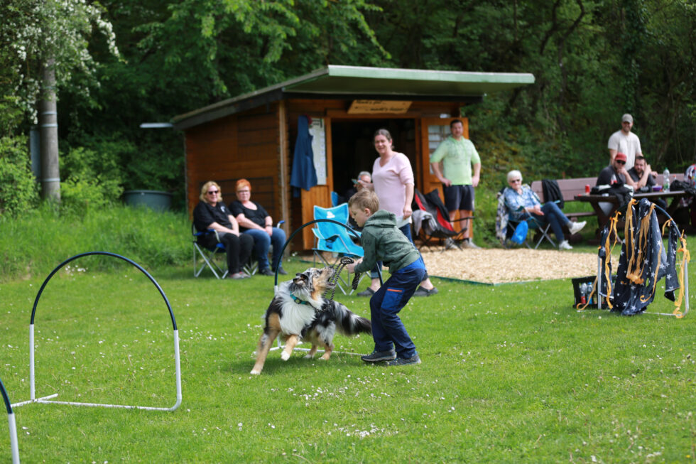 Verein | Hundsportverein Magstadt e.V.